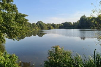 Clean Water Network Engineer - Advance TRS